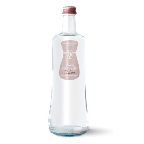 AGUA TAVINA MINERAL CON GAS VIDRIO 750 ML – Euroalimentos